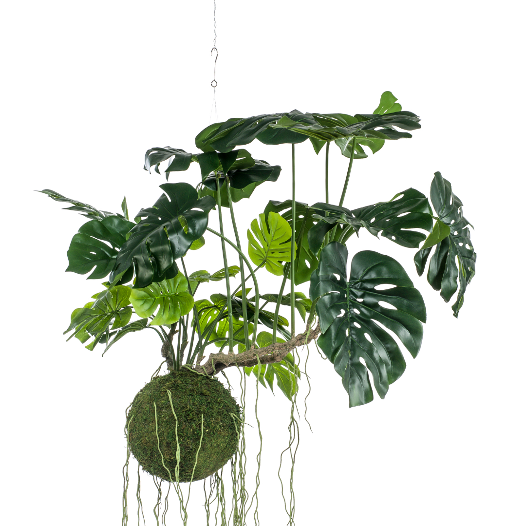 Monstera Moss - Casa Medeiros Interiores